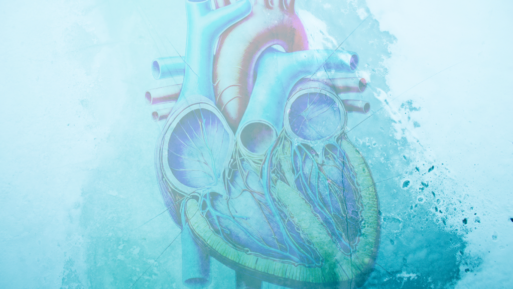 Tomodensitométrie cardiaque : le scanner du cœur – maladies-cardio ...